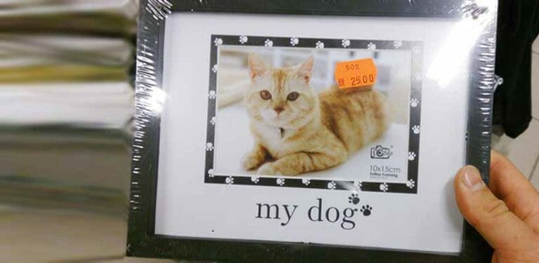 45+ Examples of Misleading / Excessive Packaging Fails - GWP Group