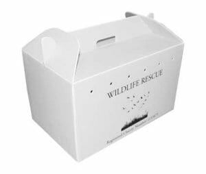 Clean room boxes | Correx® pharma packaging