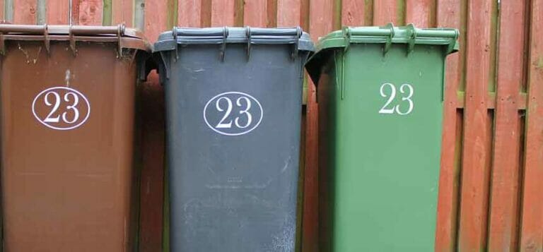 How is cardboard recycled? A step-by-step explanation